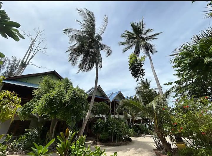 Koh Tao Bf Family For 4 A/c - Ko Tao