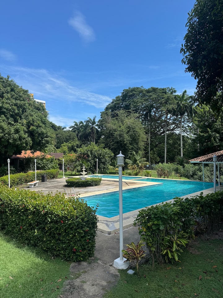 Las Palmeras - Panamá