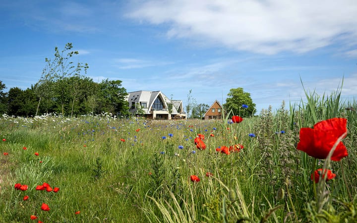 Scape Residences | Apt 1b - Texel