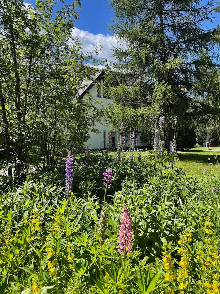 Im Herzen Von Lenzerheide! - Lenzerheide