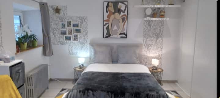 Chambre Spacieuse. Salle D'eau+cuisine Partagées - Lannemezan