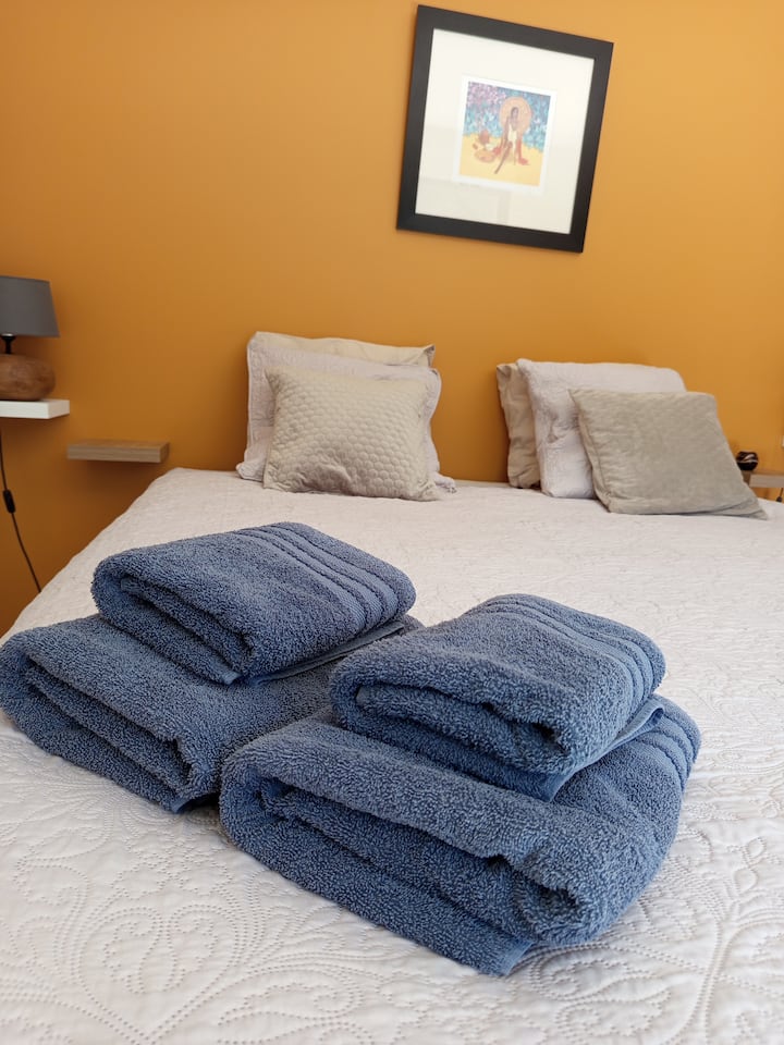 Chambre Avec Terrasse ,Salle De Bain - Vaucluse