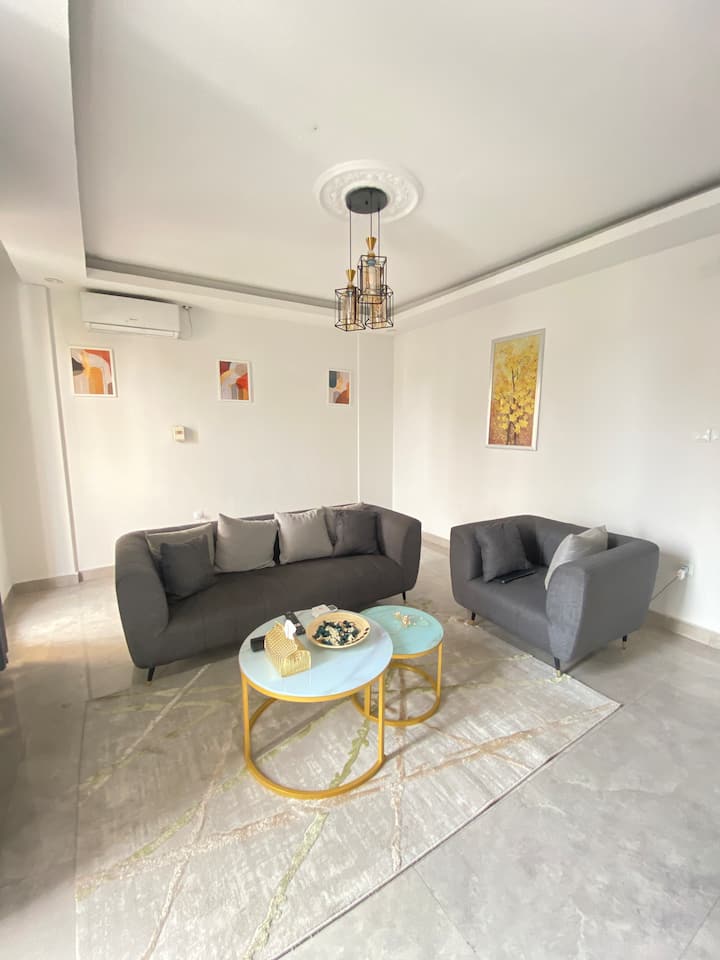 Elegant 1br Apartment - Gombe - Kinshasa