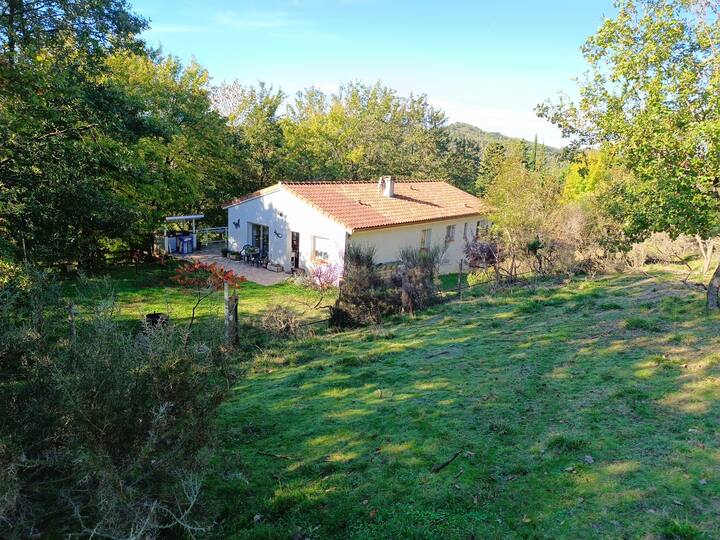 Maison De Campagne - Mirepoix