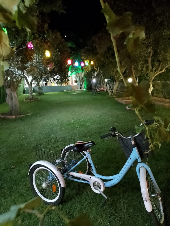 Balıkesir Erdek Narlı Denize 0 - Erdek
