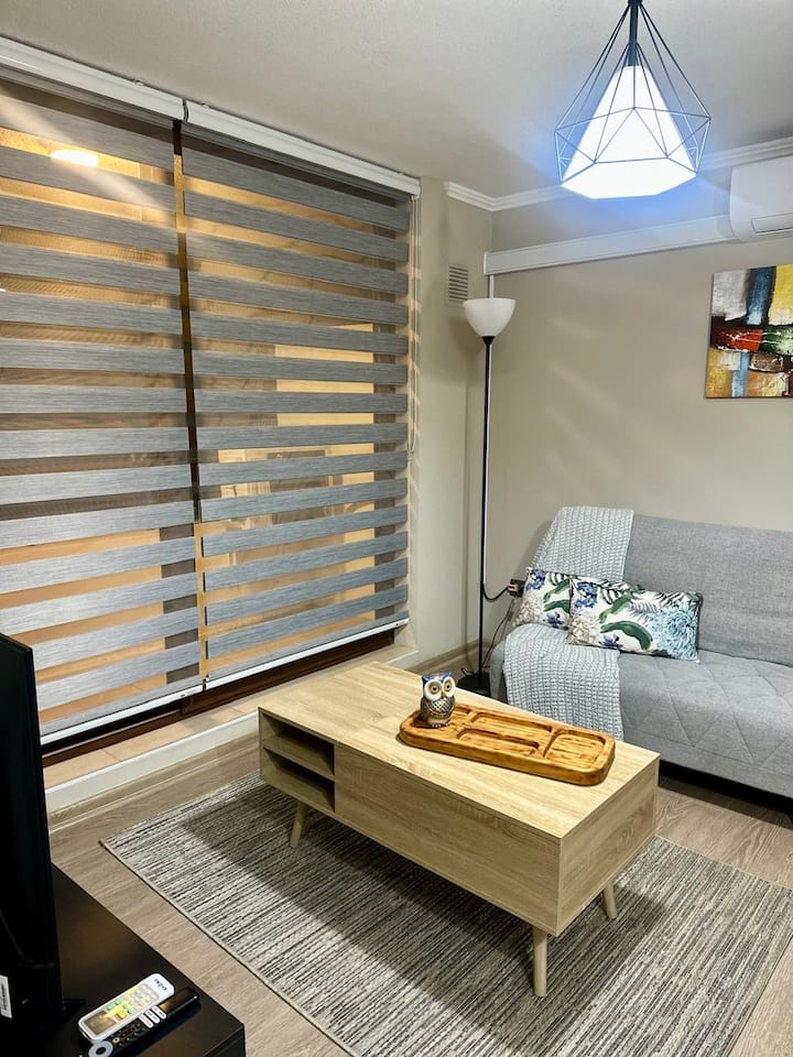 Lindo Y Central Departamento - Chillan