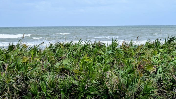 Beachfront Condo - Jensen Beach, FL