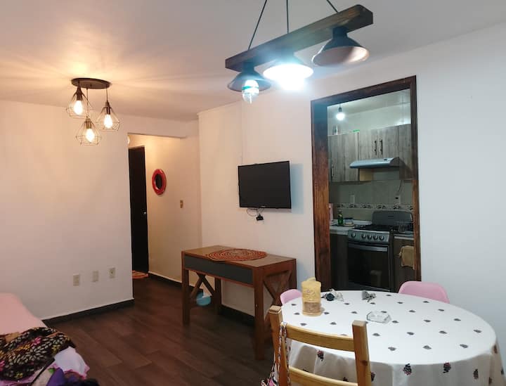 Departamento Insurgentes Centro - Mexico State