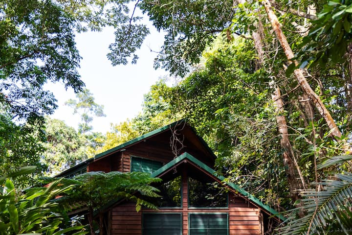 Treetops By The Sea - Kurrimine Beach