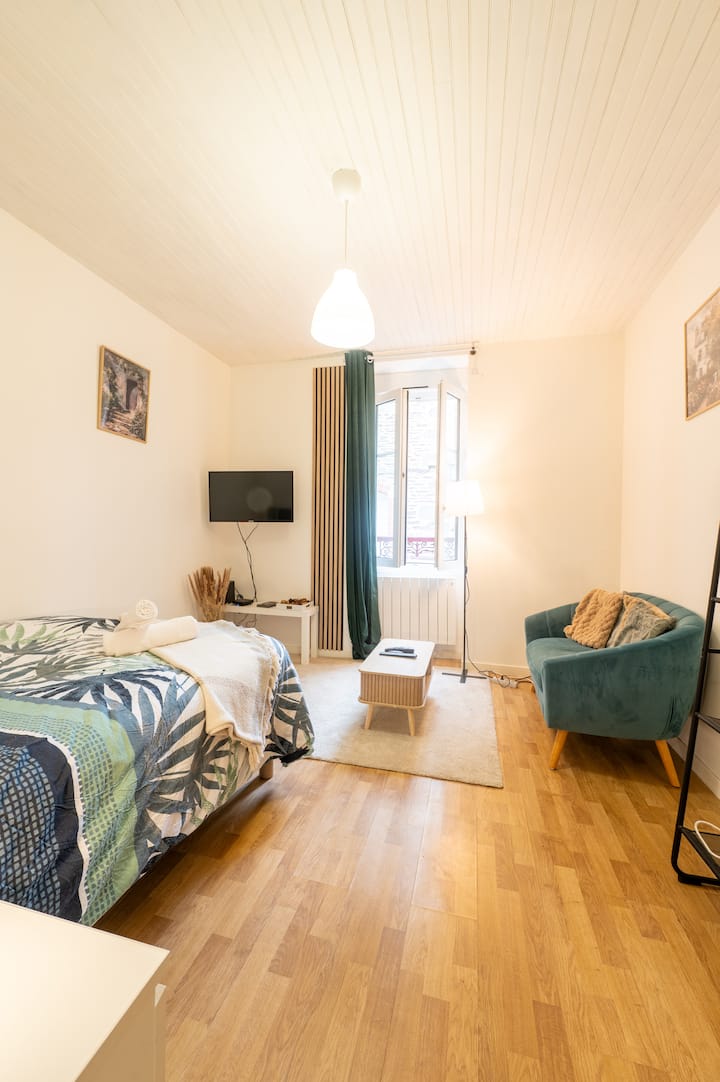 Studio Cosy – Gare, Thabor & Centre-ville à Pied - Rennes