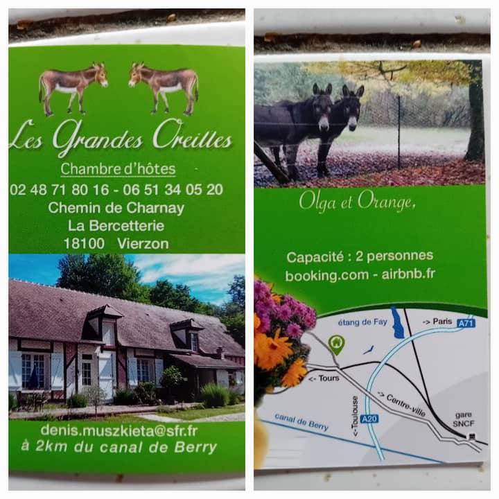 Longère Rénovée Au Calme Près De La Forêt. - Vierzon