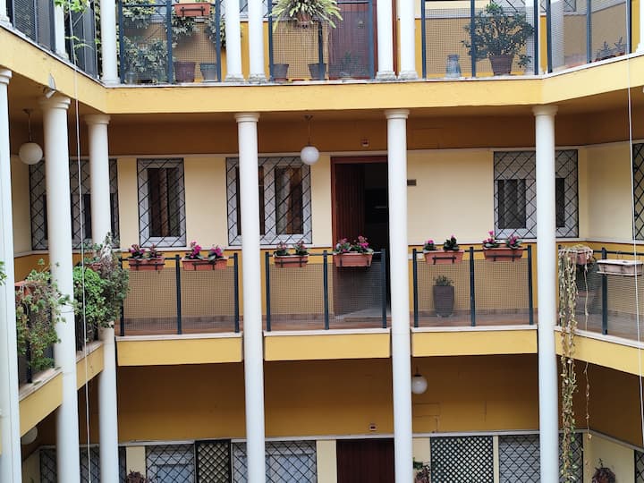 Patio Sevillano:tu Oasis Urbano - Siviglia