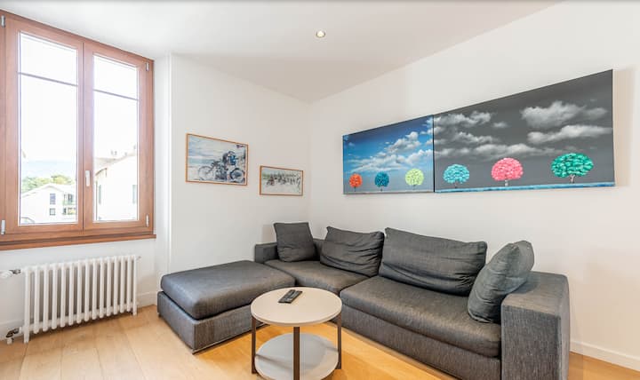 Triangle D'or à Deux Pas Du Lac Et Du Centre Ville - Annecy