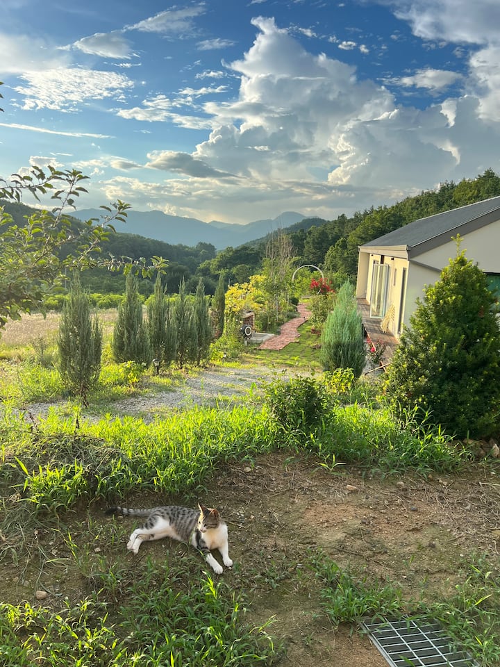 고요한숲 Peace Forest오롯이 우리만, 자연이 주는 위로,조식,숲뷰,독채,베이킹수업 - 상주시