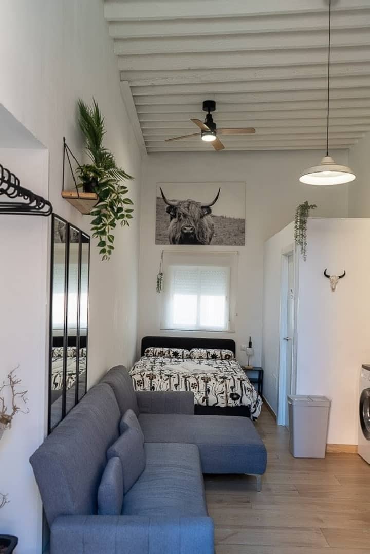 Estudio En El Centro De Almería - Almería