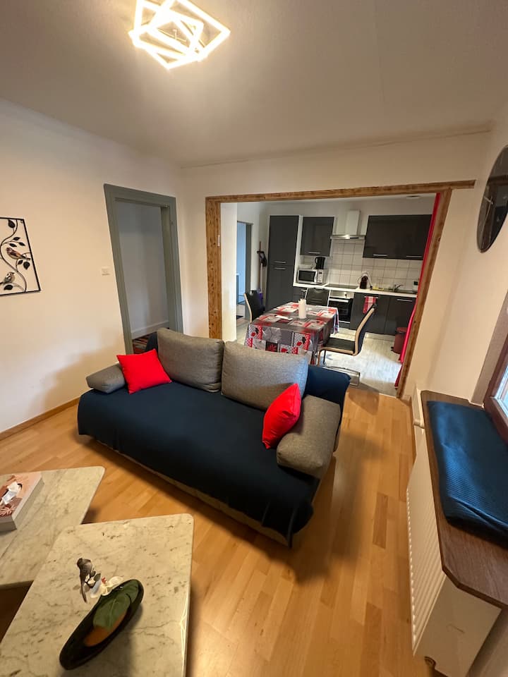 Appartement Proche Aéroport - Bartenheim