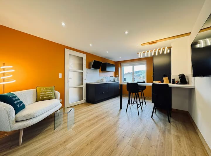 Appartement 2 Pièces Et Terrasse - Lac de Gérardmer