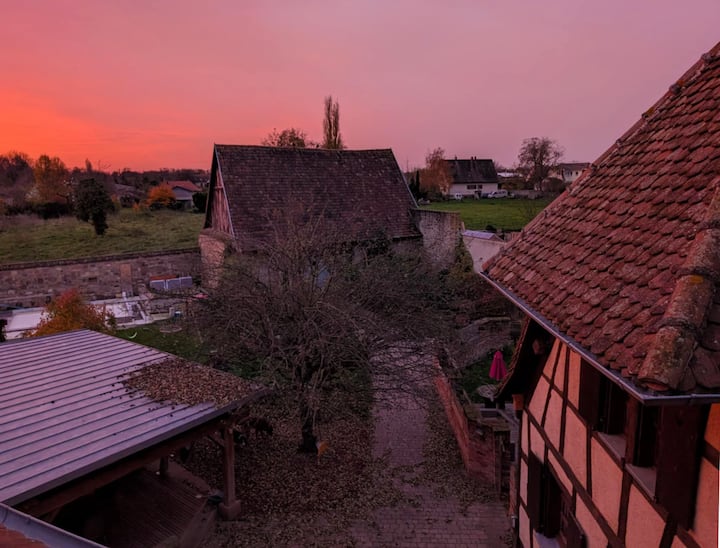Féerie D’hiver En Alsace –Maison Cocooning - Rouffach
