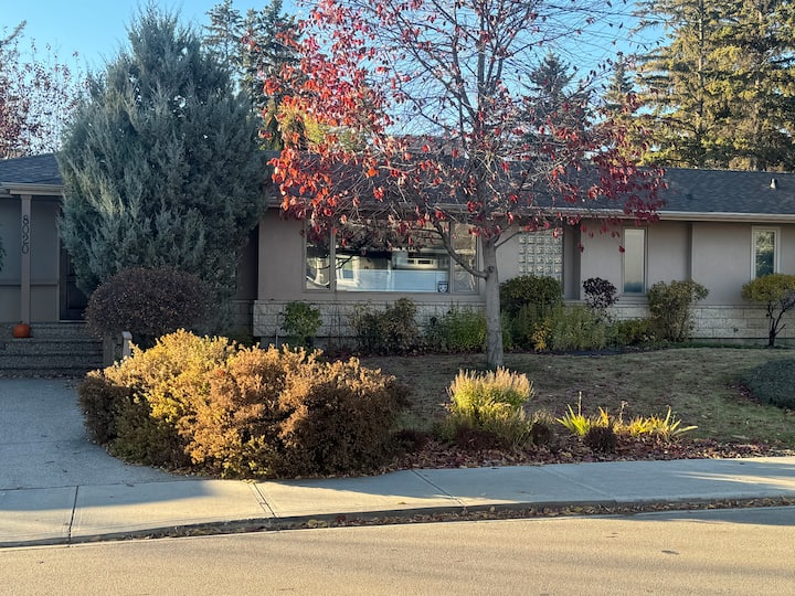 Two Bedroom Basement Suite. - Edmonton