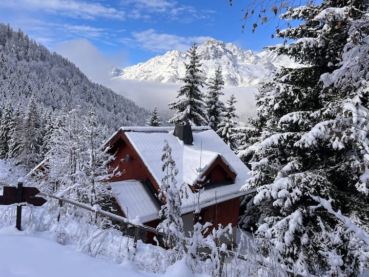 Vrijstaand Chalet In Het Groen-ruim Terras-6 Kmrs - Oz-en-Oisans