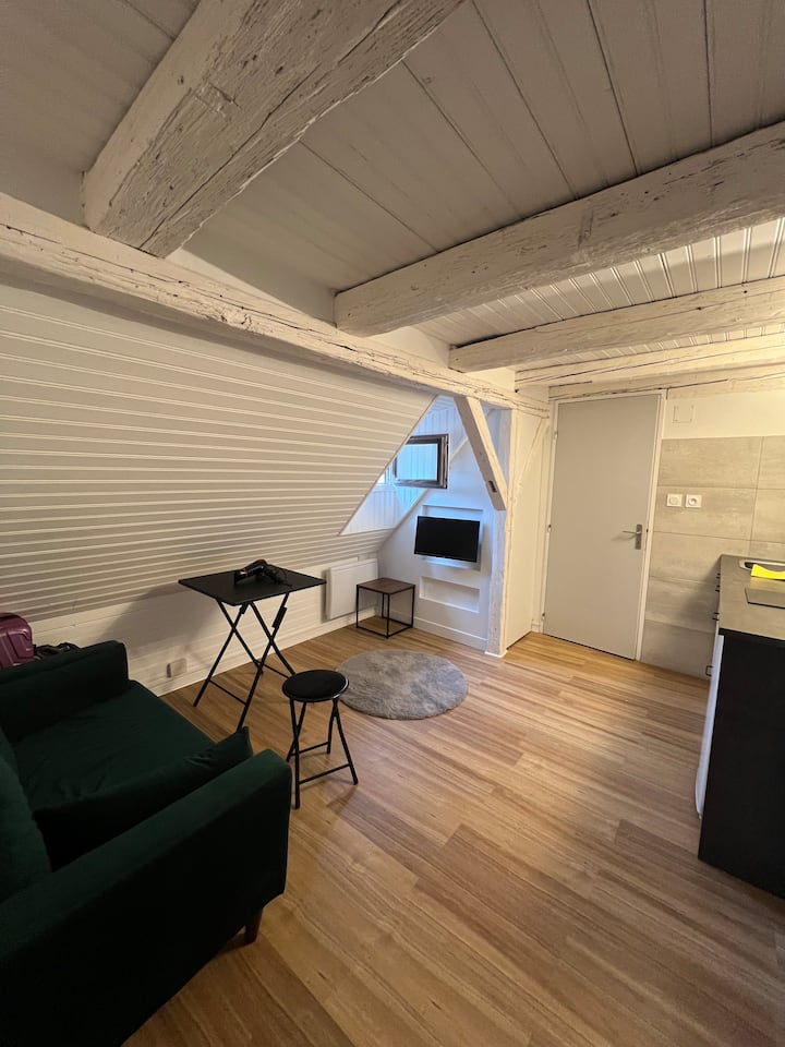 Cosy Studio. - Strasbourg