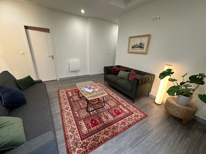 43 Maison Spacieuse 6 Chambres Plein Centre ‼️ - Andrézieux-Bouthéon