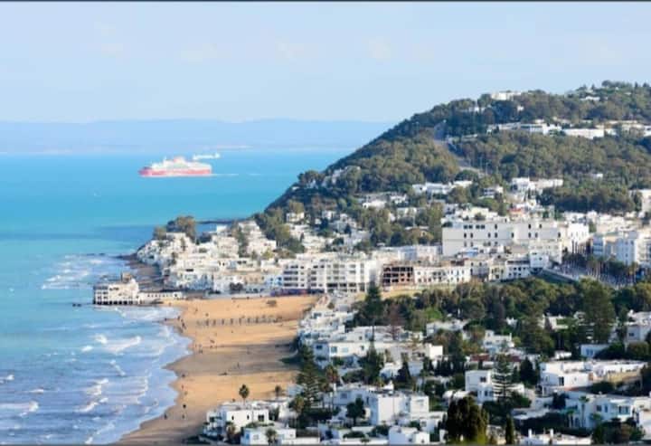 Horizon Magnifique - Sidi Bou Saïd
