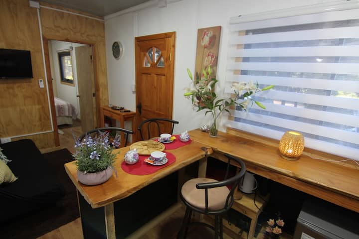 Hermoso Departamento Para Dos - Puyehue