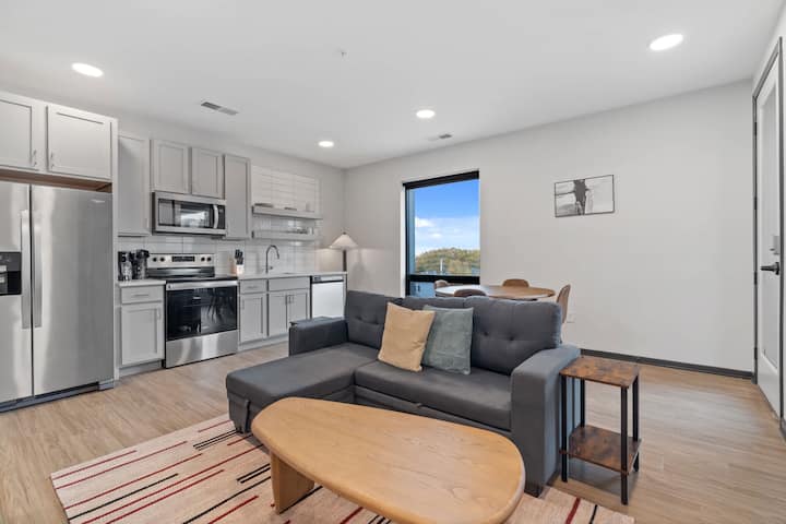 Cozysuites Mass With Lounge And Roof Deck #28 - Indianapolis, IN