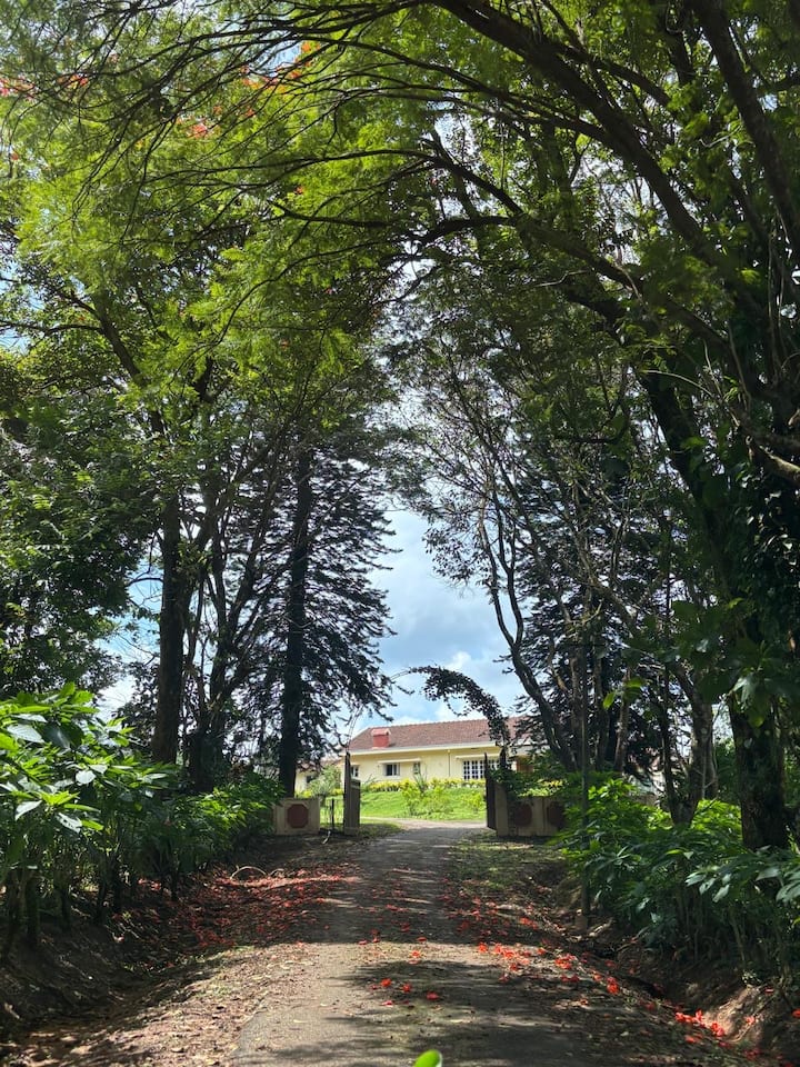 Hilltop Homestay- The Five Bed Retreat - Mudigere