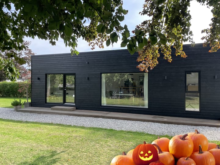 Unik Design- Og Kunstnerbolig / Hygge & Nærvær - Odense
