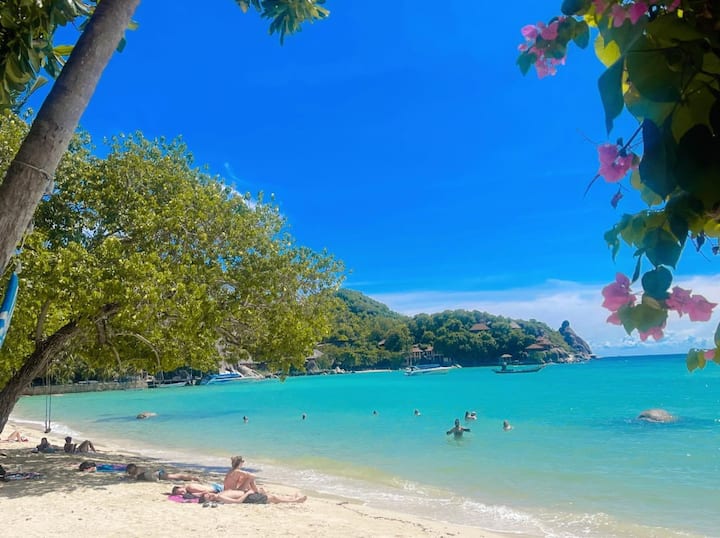 Bif Chalok Baan Kao Koh Tao 2(fan) - Ko Tao