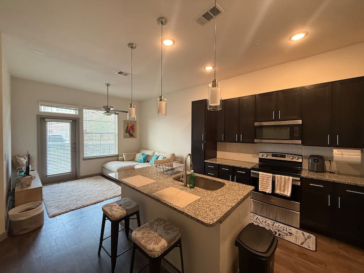 Cozy Houston Apt By Nrg Stadium & Med Center - Houston, TX