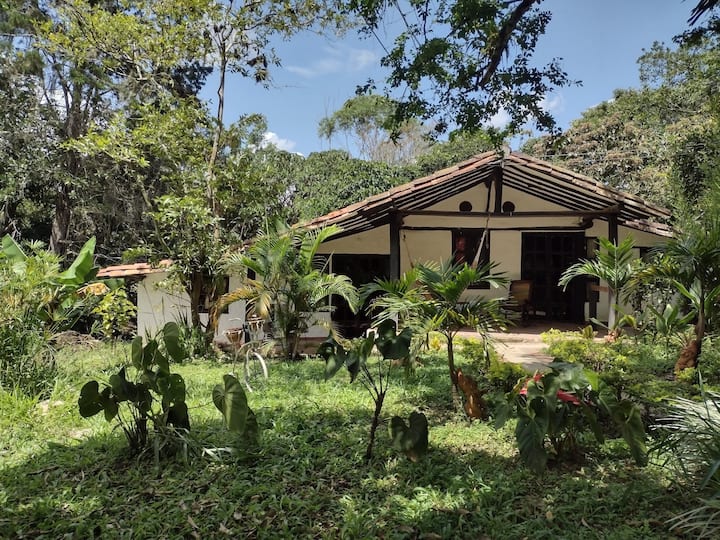 Raíces Casa De Huéspedes Cabaña - Curiti