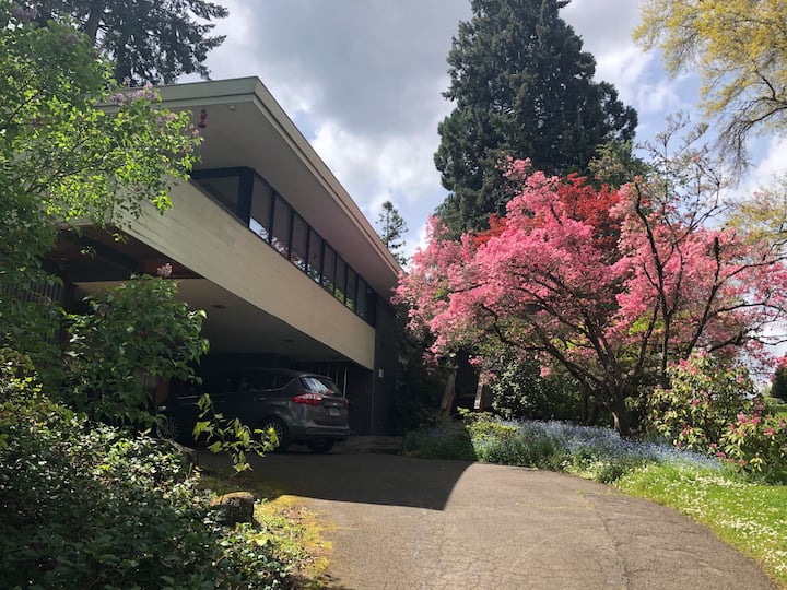 Eclectic Spanish Casita Dojo Studio - Eugene, OR