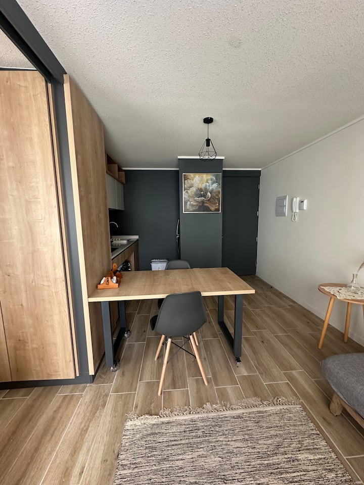 Apartamento Para 2 Personas - Providencia