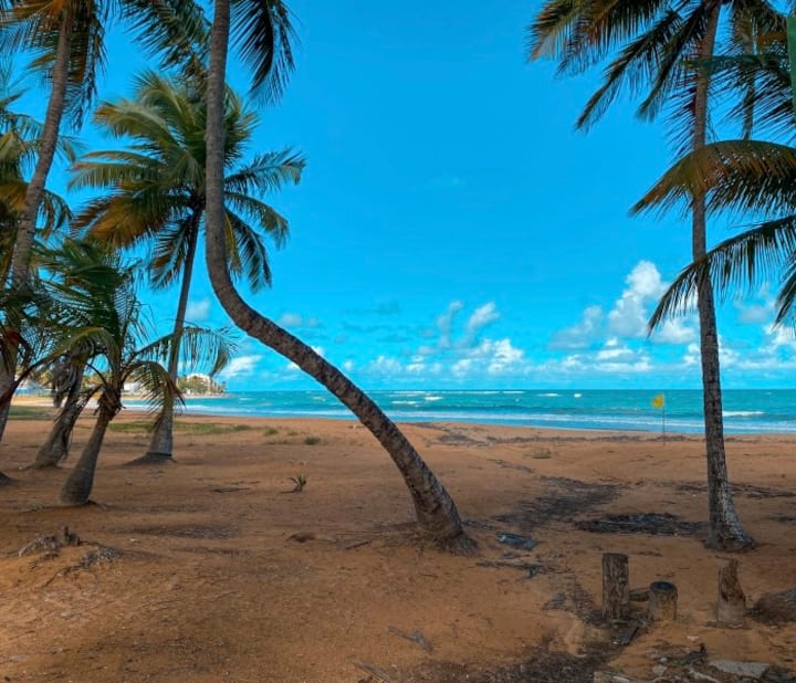 Villa Leomar Apartment In Playa Azul Luquillo - Luquillo