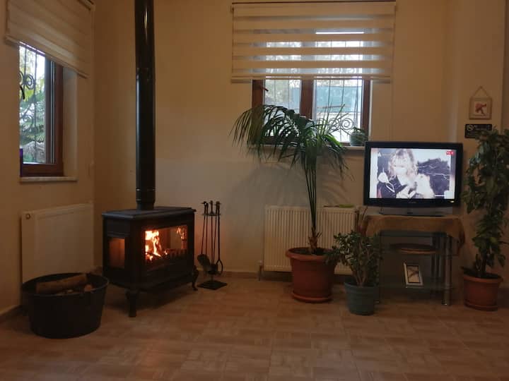 Nerry’s Garden İZmit - Rose - Doğa Ile Baş Başa - Kocaeli