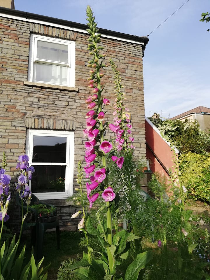 Cozy Cottage Ground  Floor Flat Nestled In Nature - Bristol