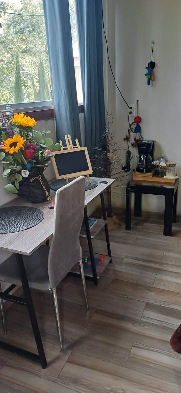 Cine En El Bosque Y Jacuzzi En Renta - Naucalpan de Juárez