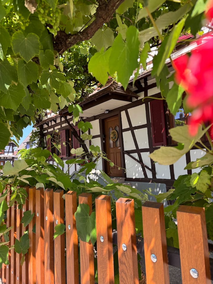 Le Grenier D'alice - Proche Europapark - Alsace