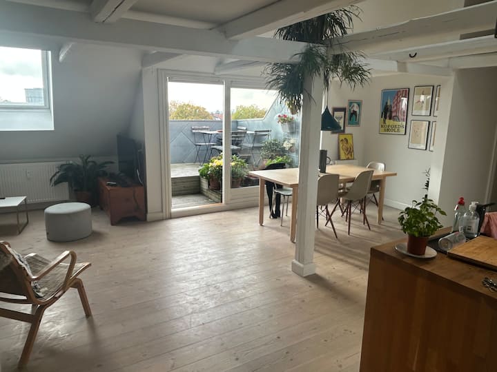 Stor 2,5 Værelses Med Tagterrasse - Copenhaguen