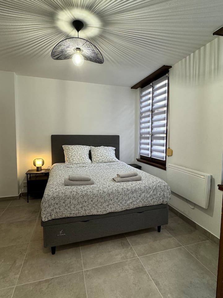 Studio Moderne Hypercentre - ibis Styles Strasbourg Avenue du Rhin