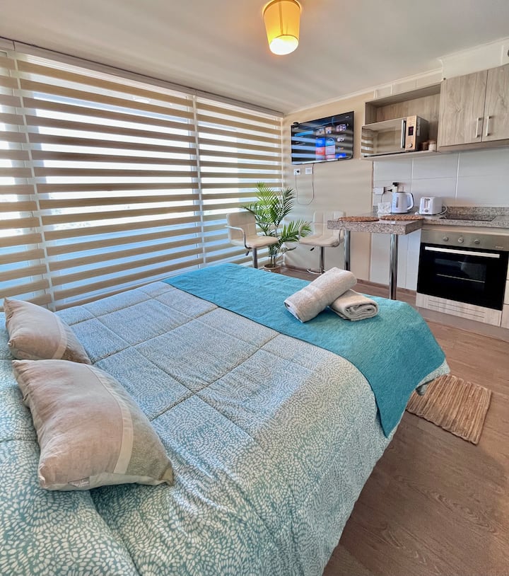 Increíble Piso 9+wifi+tv+centro Chillan - Chillan