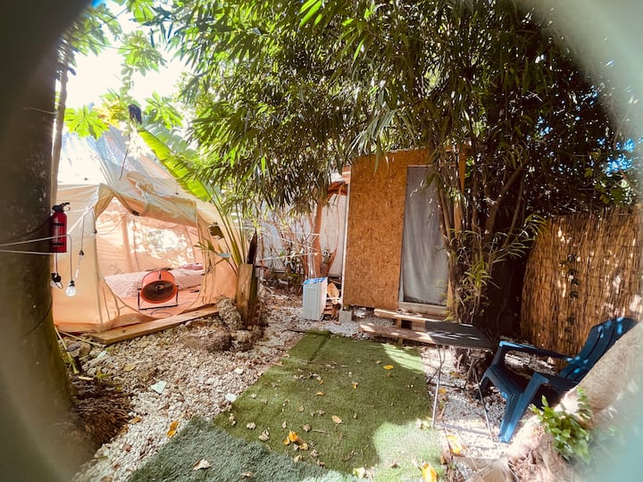 “Campaña En La Pequeña Selva De Legnalife” - Homestead, FL