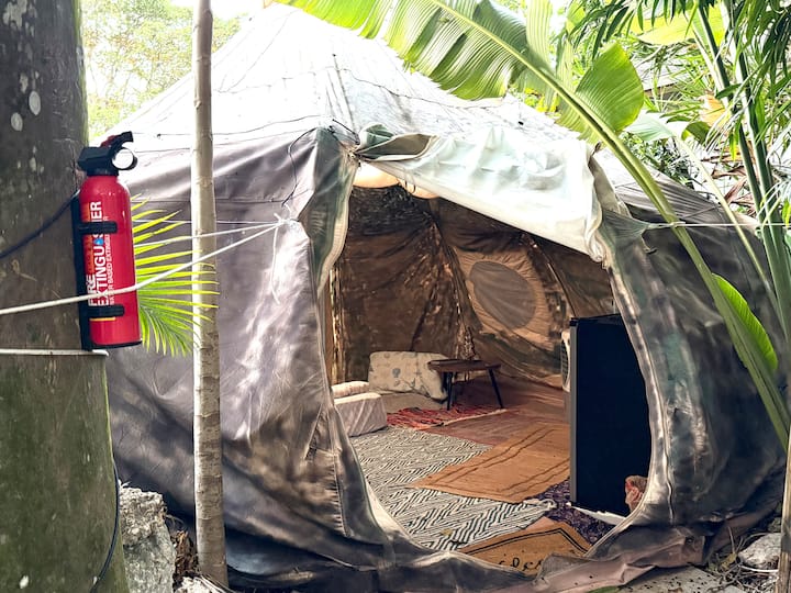 “Campaña En La Pequeña Selva De Legnalife” -