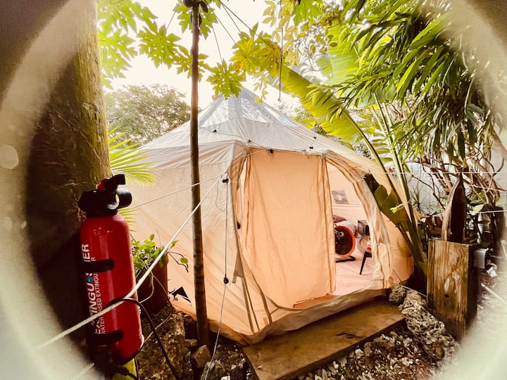 “Campaña En La Pequeña Selva De Legnalife” - Homestead, FL