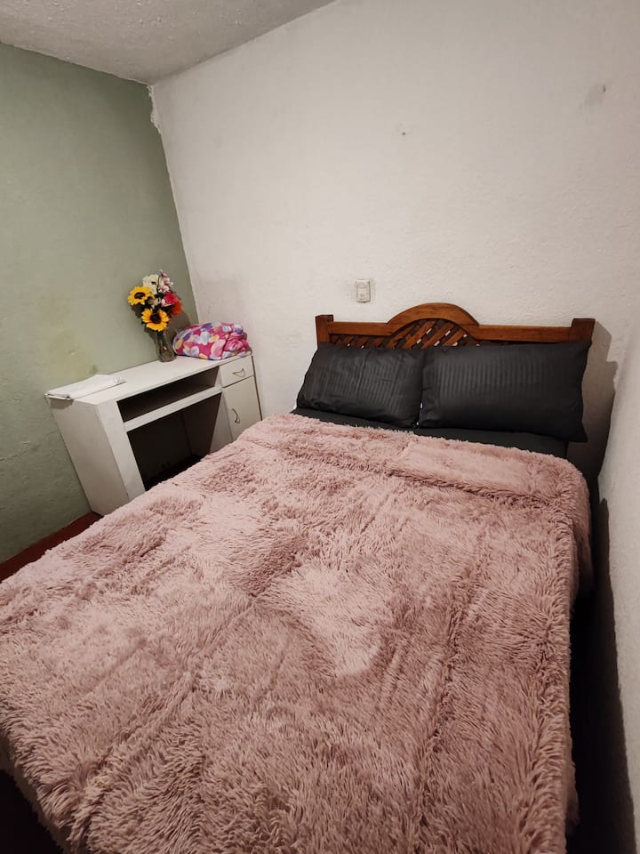 Hermosa Casa Céntrica Con Cochera Y Patio Amplio - San Cristóbal de Las Casas