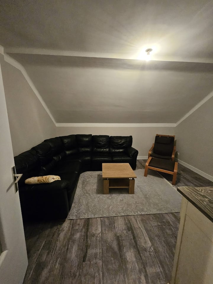 Appartement Spacieux Et Propre. - Cluses