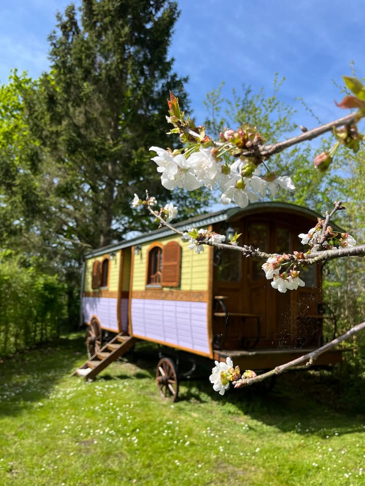 Roulotte - Pont-l'Évêque